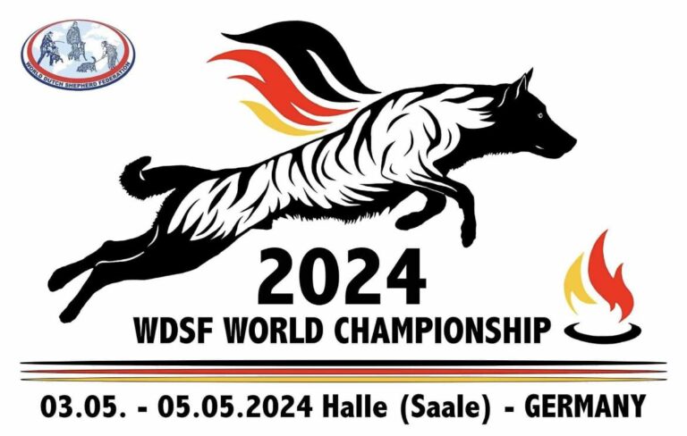Website WC 2024 is online - WDSF